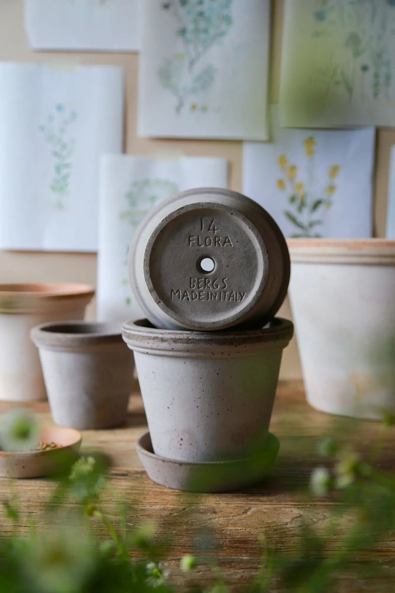 Flora Raw Pot - Bergs Potter – The Garden
