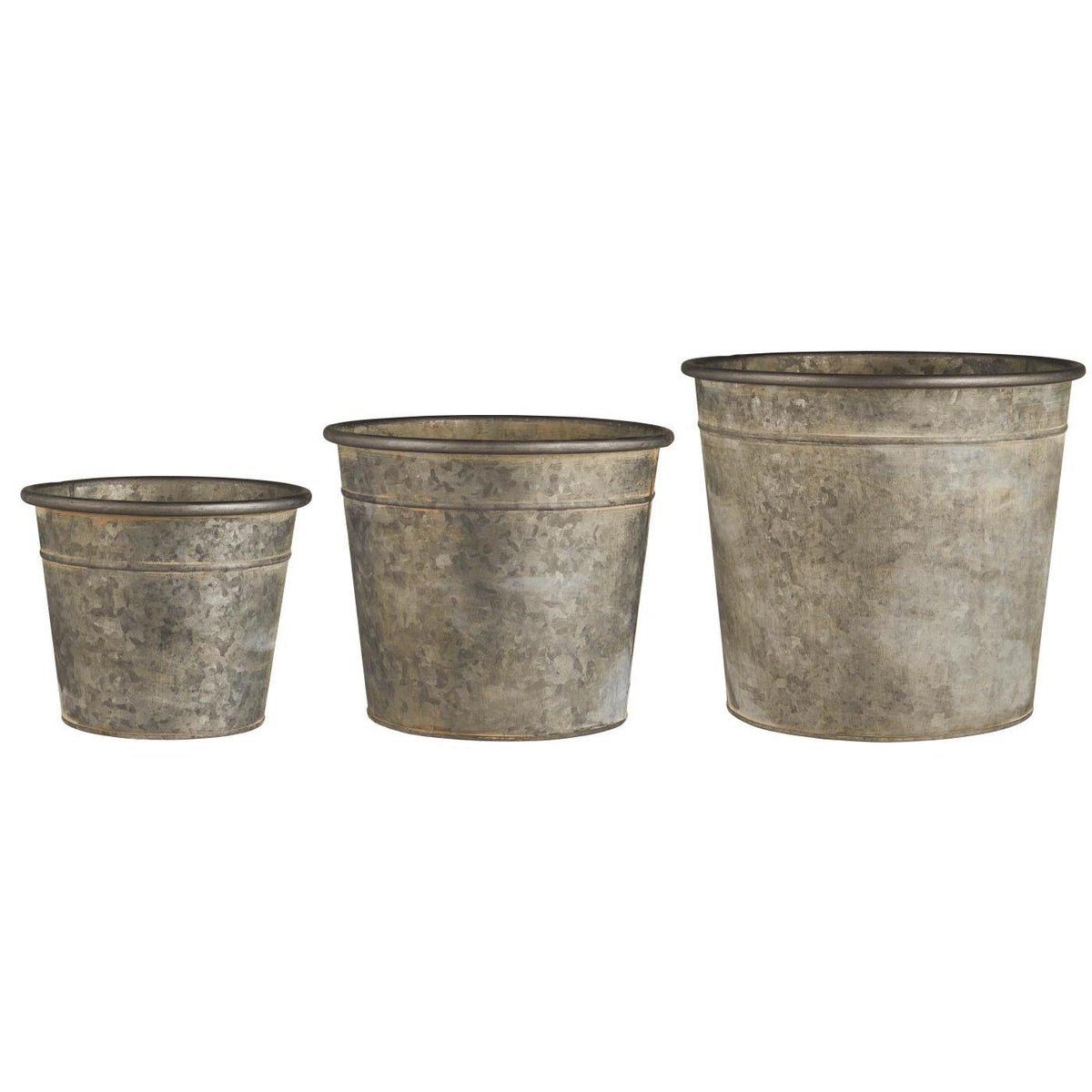 Tin Pots – The Garden